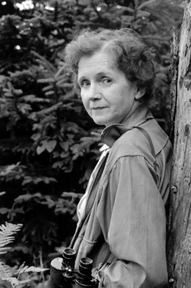 Rachel Carson: Champion of the Environment and Catalyst for Change ...
